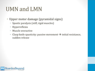 NeurologySlides2020.pdf