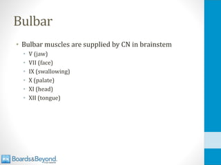 NeurologySlides2020.pdf