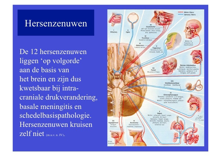 Neurol onderzoek