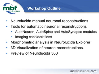 Neuron Reconstruction and Analysis Workshop | PPT
