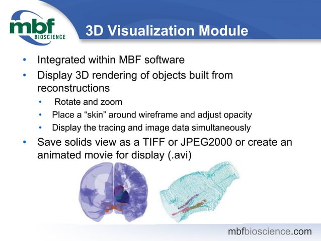 Neuron Reconstruction and Analysis Workshop | PPT
