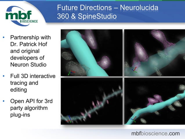 Neuron Reconstruction and Analysis Workshop | PPT