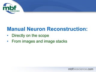 Neuron Reconstruction and Analysis Workshop | PPT