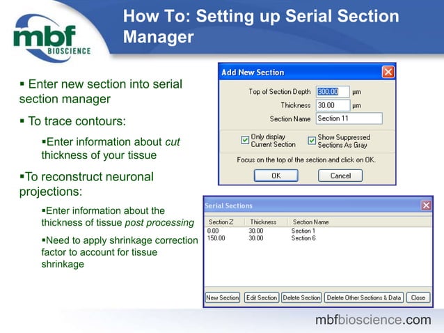 Neuron Analysis Workshop: Neuron Tracing from Tissue Specimens at the ...