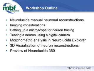 Neuron Analysis Workshop: Neuron Tracing from Tissue Specimens at the ...