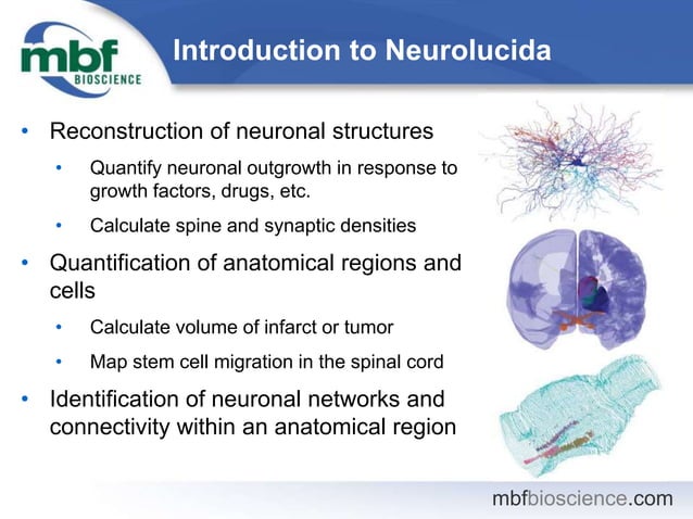 Neuron Analysis Workshop: Neuron Tracing from Tissue Specimens at the ...