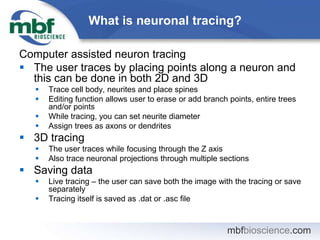 Neuron Analysis Workshop: Neuron Tracing from Tissue Specimens at the Microscope | PPTX