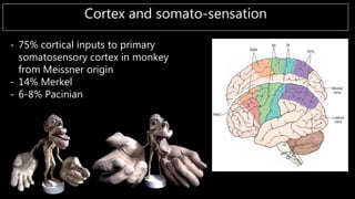 Tognoli: Neuromarkers of hapsis 2017 | PPT