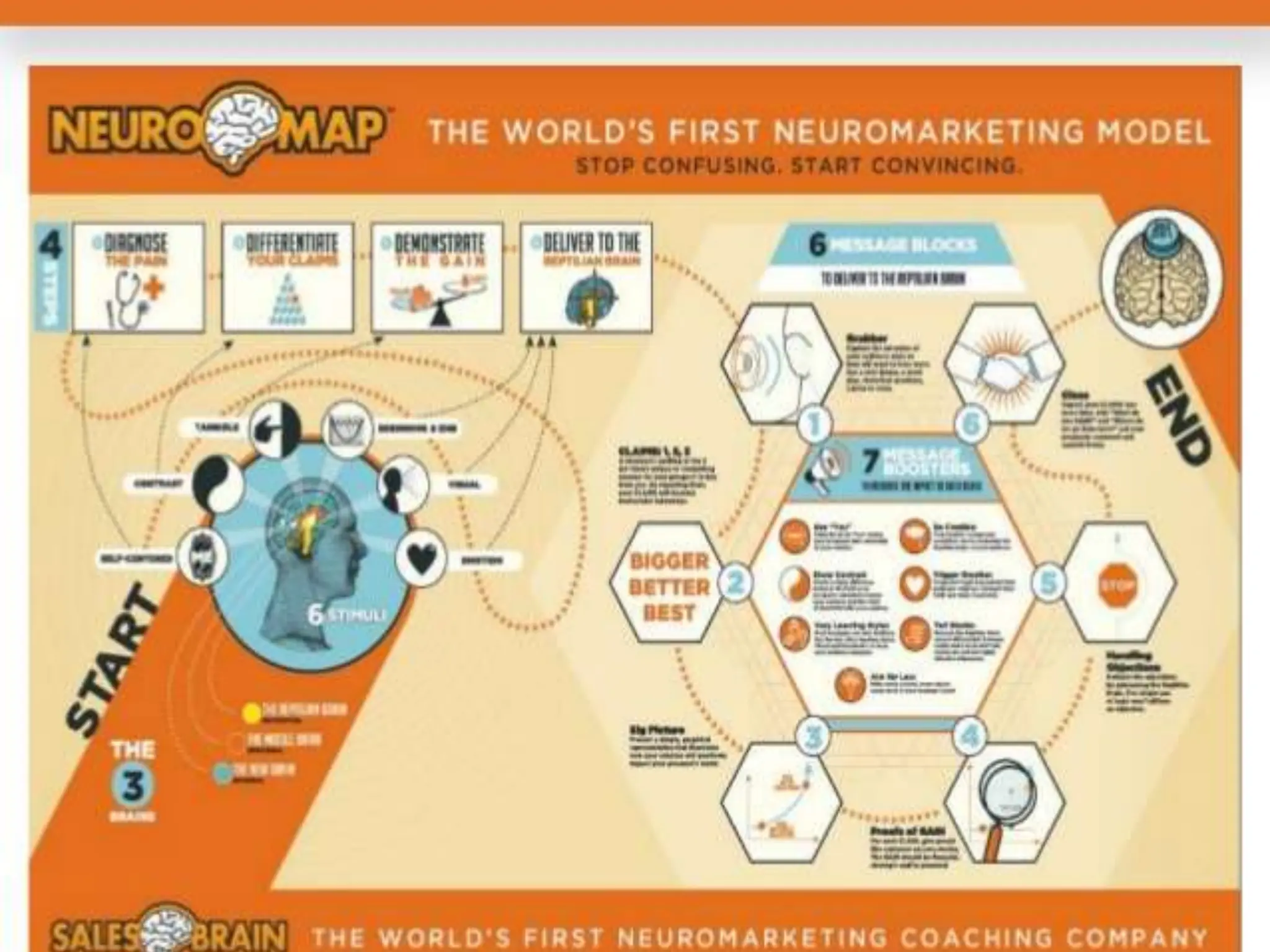 neuromarketingg more information more information | PDF