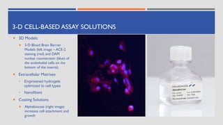 2 and 3-D Human Cell-Based Assays | PDF