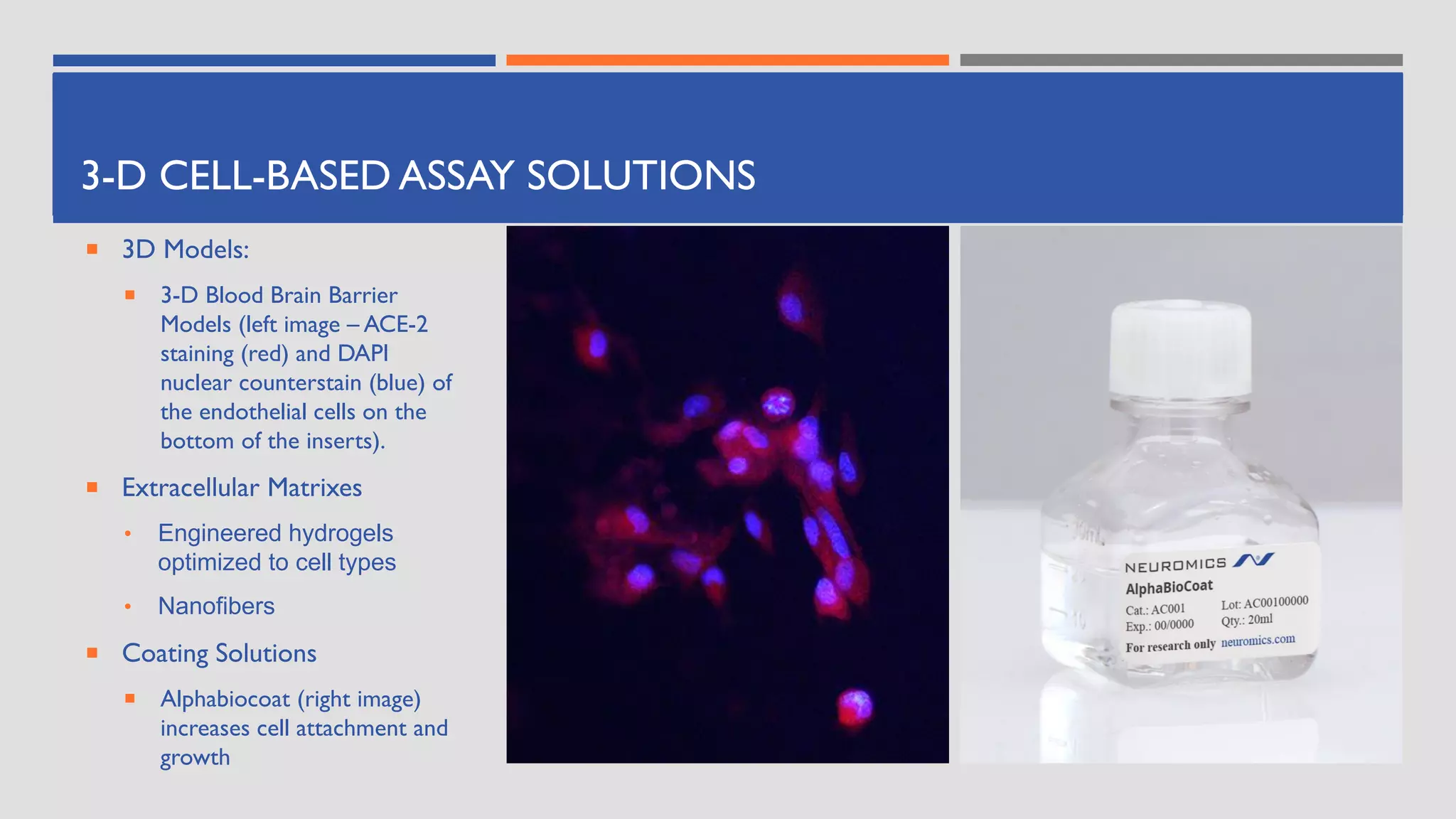 Neuromics presentation november 2021 | PPT | Free Download