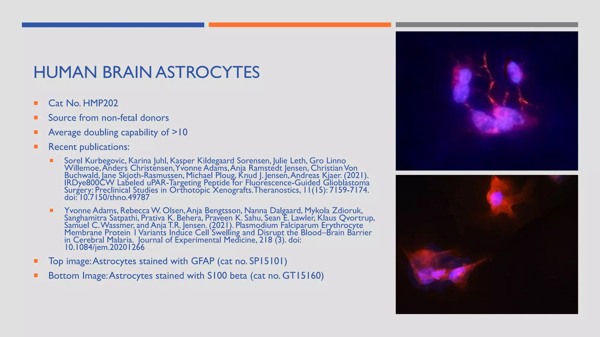 Neuromics presentation november 2021 | PDF