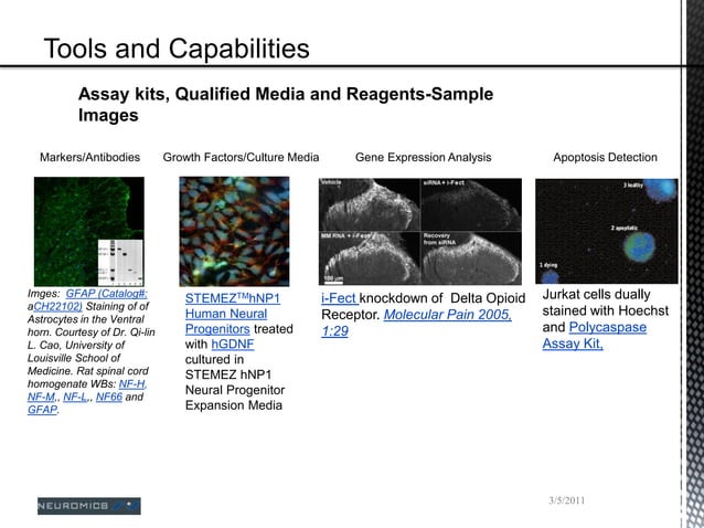 Neuromics Presentation V4 | PPT