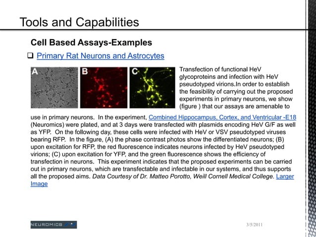 Neuromics Presentation V4 | PPT
