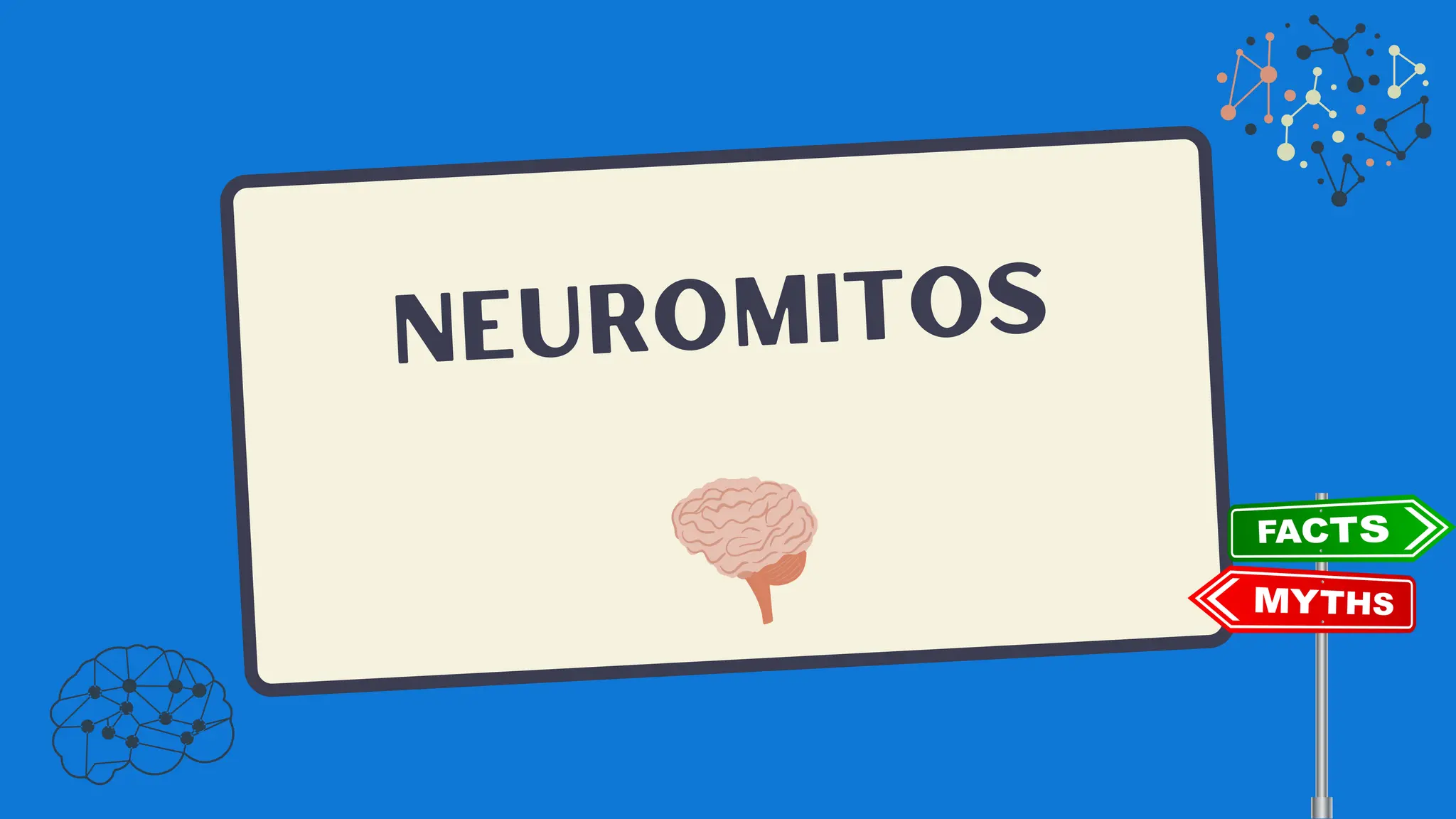 neuromitos.en el desarrollo de las personas | PDF