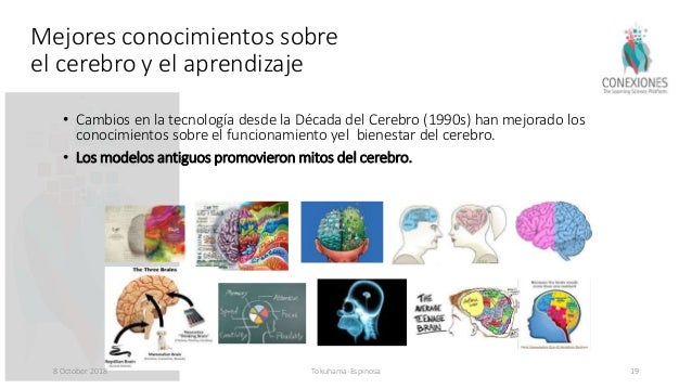 Neuromitos sobre cerebro y aprendizaje