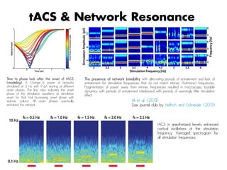 Focused Ultrasound Neuromodulation | PDF