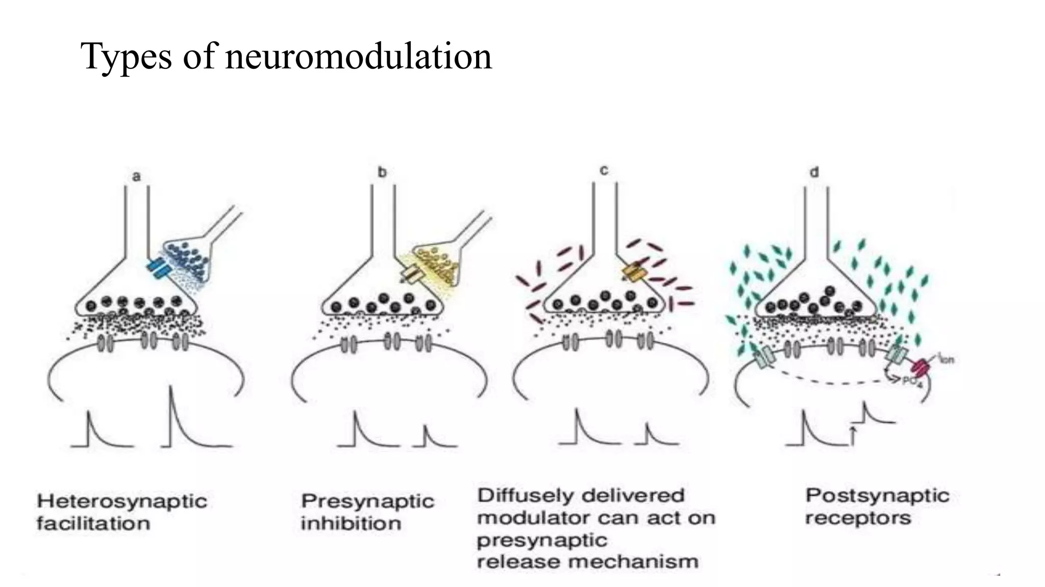 Neuromodulation | PPTX