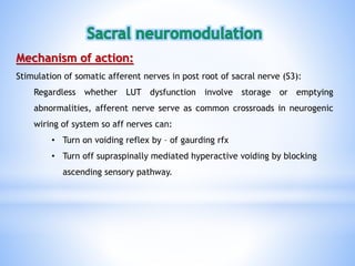 Neuromodulation in treatment of neurogenic bladder.pptx