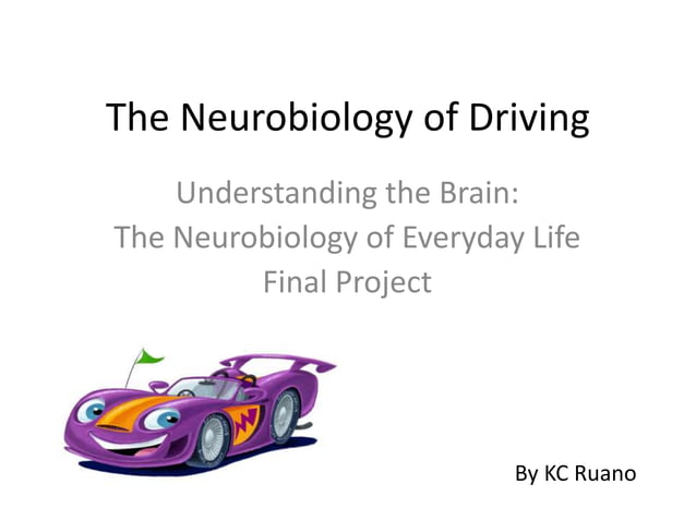 Understanding the Brain: The Neurobiology of Every Day Life, Final ...