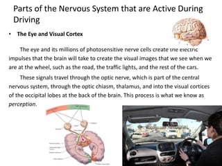 Understanding the Brain: The Neurobiology of Every Day Life, Final ...