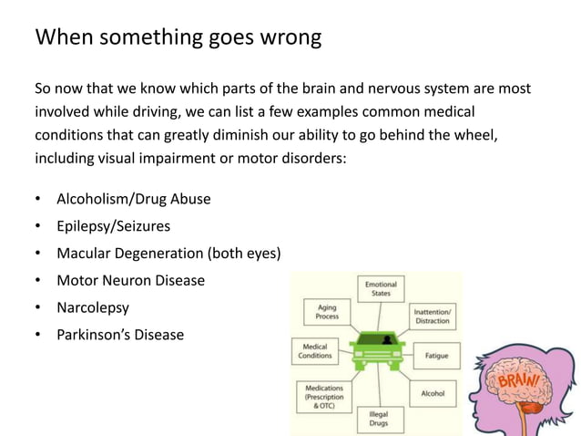 Understanding the Brain: The Neurobiology of Every Day Life, Final ...
