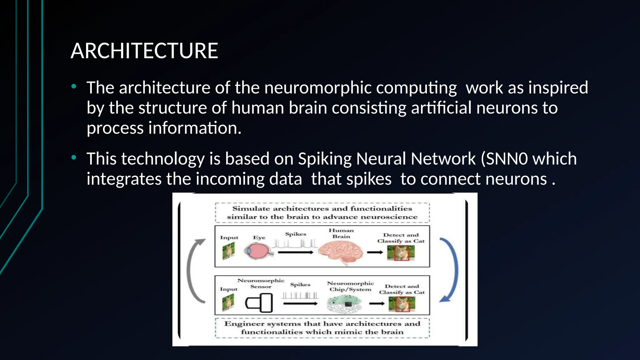 NEUROMOROPHIC nu iajwojeieheueueueu.pptx