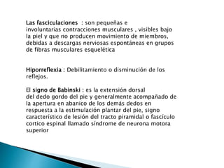 Neuromotora inferior | PPTX