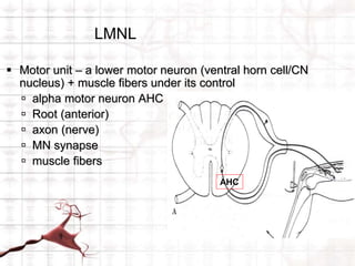 Neuromotor disorder general view: make it easy | PPTX