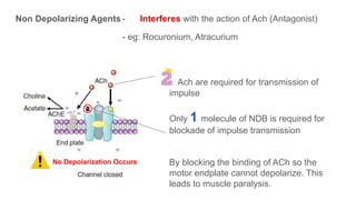 Introduction to Muscle Relaxants and Reversal Agents. | PDF