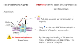 Neuromuscle Relaxants and Reversal Agents.pptx