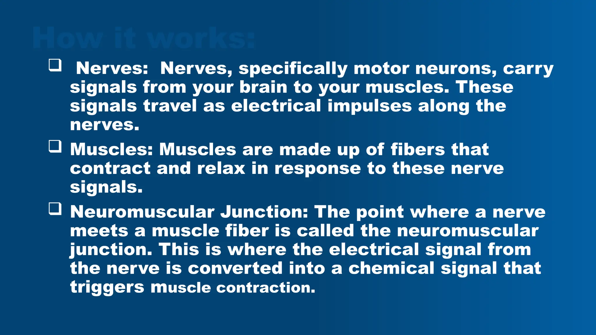 neuromuscular system powerpoint Presentation | PPTX