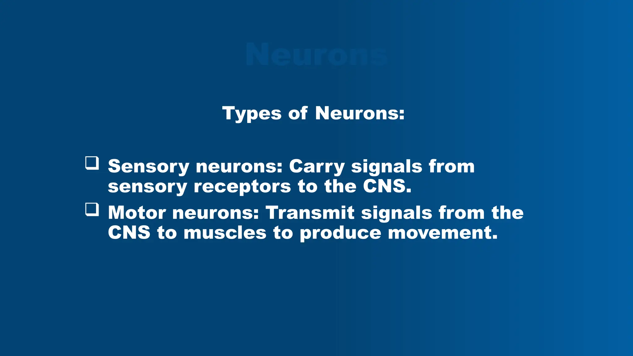neuromuscular system powerpoint Presentation | PPTX