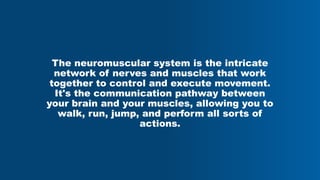 neuromuscular system powerpoint Presentation | PPTX