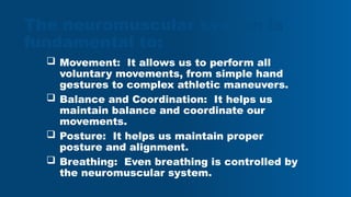 neuromuscular system powerpoint Presentation | PPTX