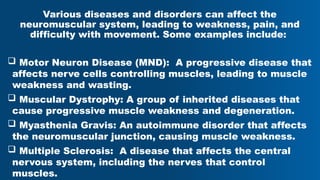 neuromuscular system powerpoint Presentation | PPT