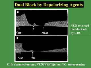 Neuro muscular blockers | PPT