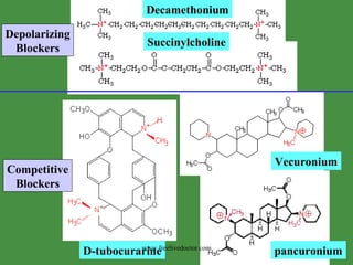 Neuro muscular blockers | PPT