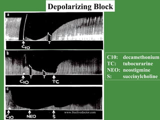 Neuro muscular blockers | PPT