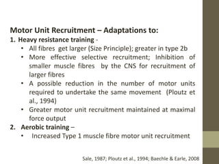 Neuromuscular Adaptations to Sports Training | PPTX