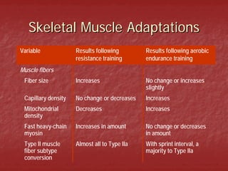 Neuromuscular adaptations to training | PDF