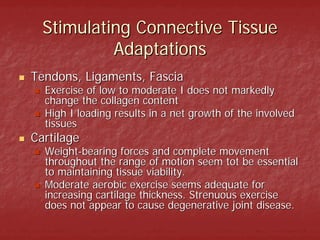 Neuromuscular adaptations to training | PDF