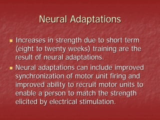 Neuromuscular adaptations to training | PDF