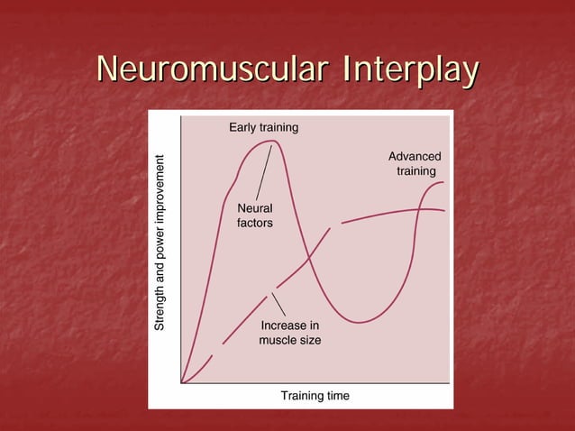 Neuromuscular adaptations to training