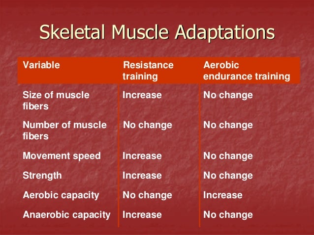 Neuromuscular adaptations to training
