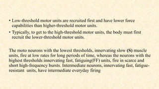 Neuromuscular adaptation to exercise –application to practise | PPTX