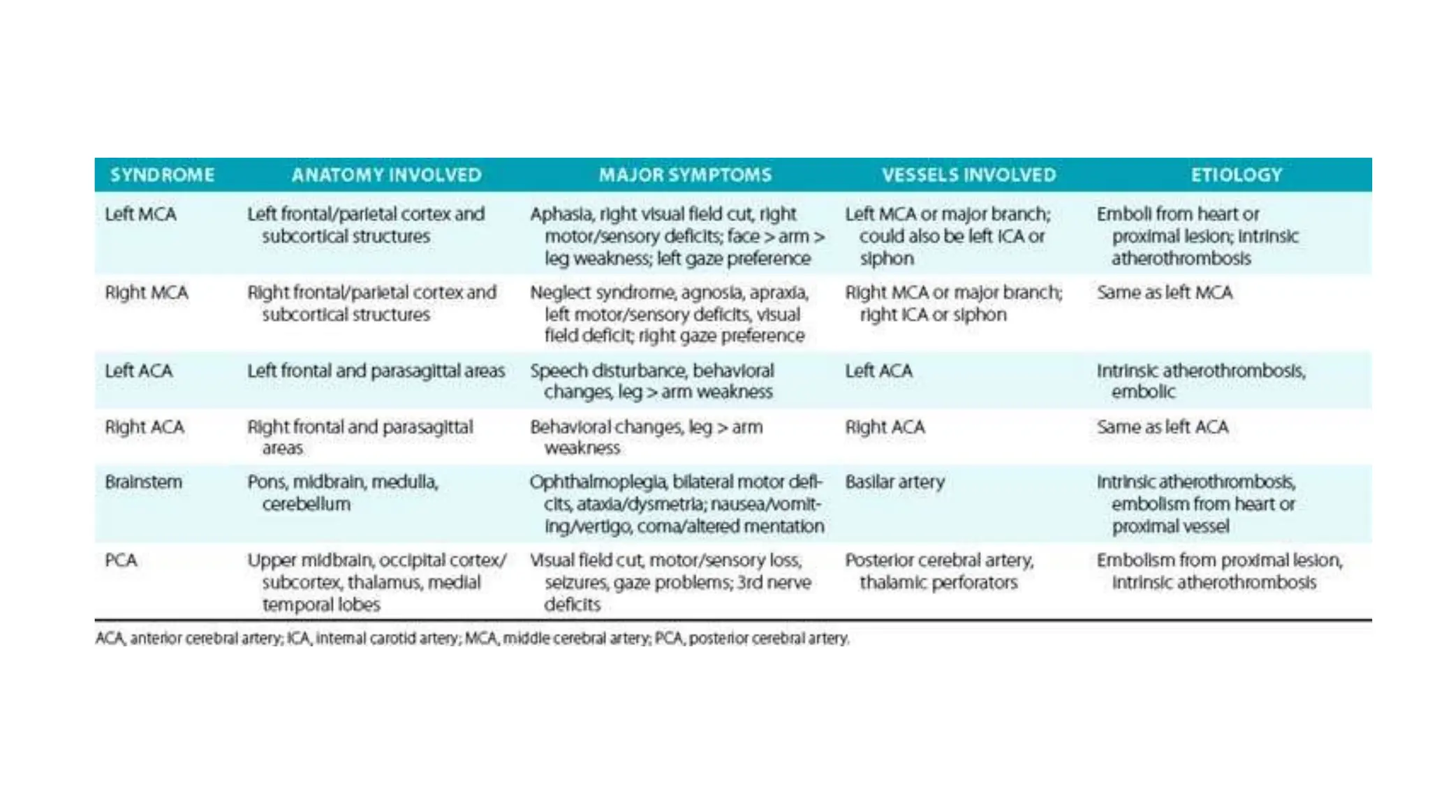 Neuromuscular UMN vs LMN teori Basic.pptx