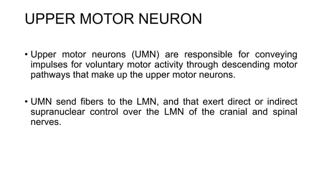 Neuromuscular UMN vs LMN teori Basic.pptx