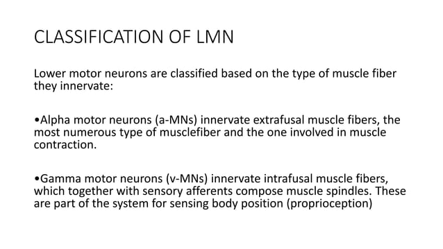 Neuromuscular UMN vs LMN teori Basic.pptx