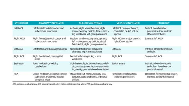 Neuromuscular UMN vs LMN teori Basic.pptx